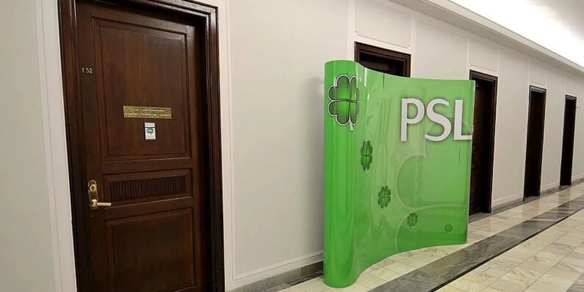 PSL zbrata się z Nowoczesną? | Niezalezna.pl