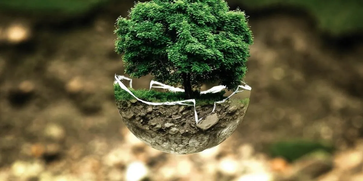 Abp Gądecki o encyklice Laudato Si'. ″Kwestie bardziej aktualne niż ...