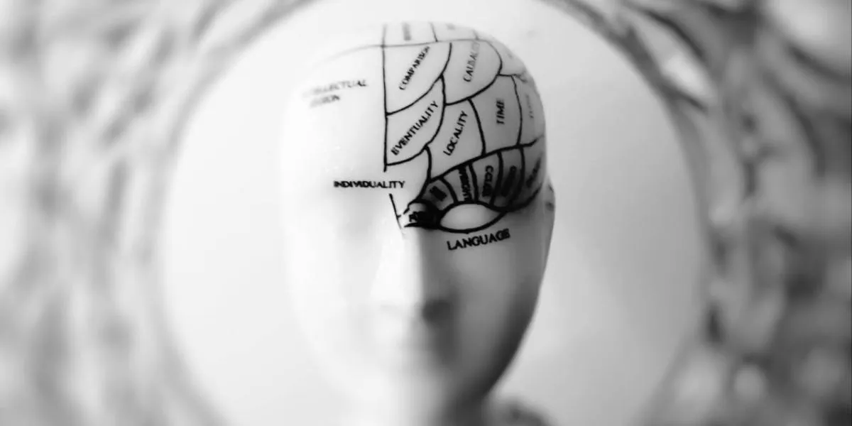 Jak skutecznie leczyć choroby mózgu? Neurolodzy biją na alarm ...