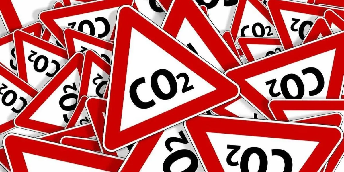 „Sfabrykowana histeria”, „im więcej CO2 - tym lepiej”… Współzałożyciel ...