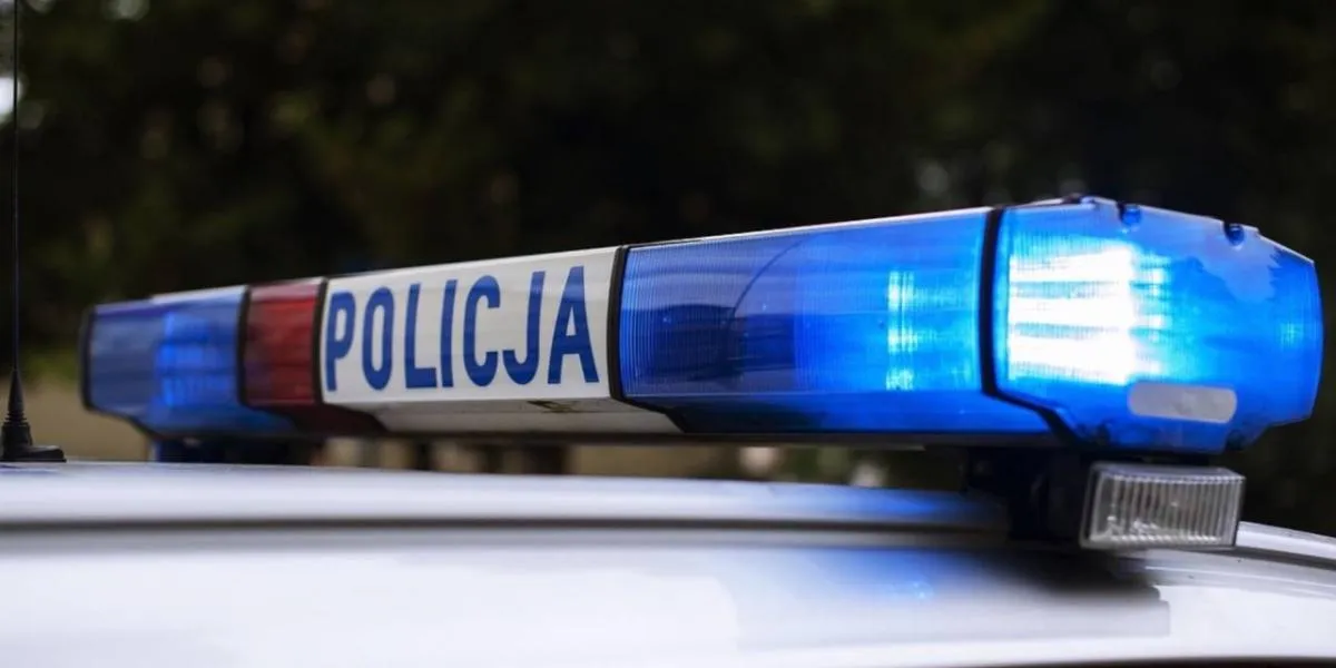 13-latka znęcała się nad swoim psem. Nagrywała to i wysyłała znajomym ...