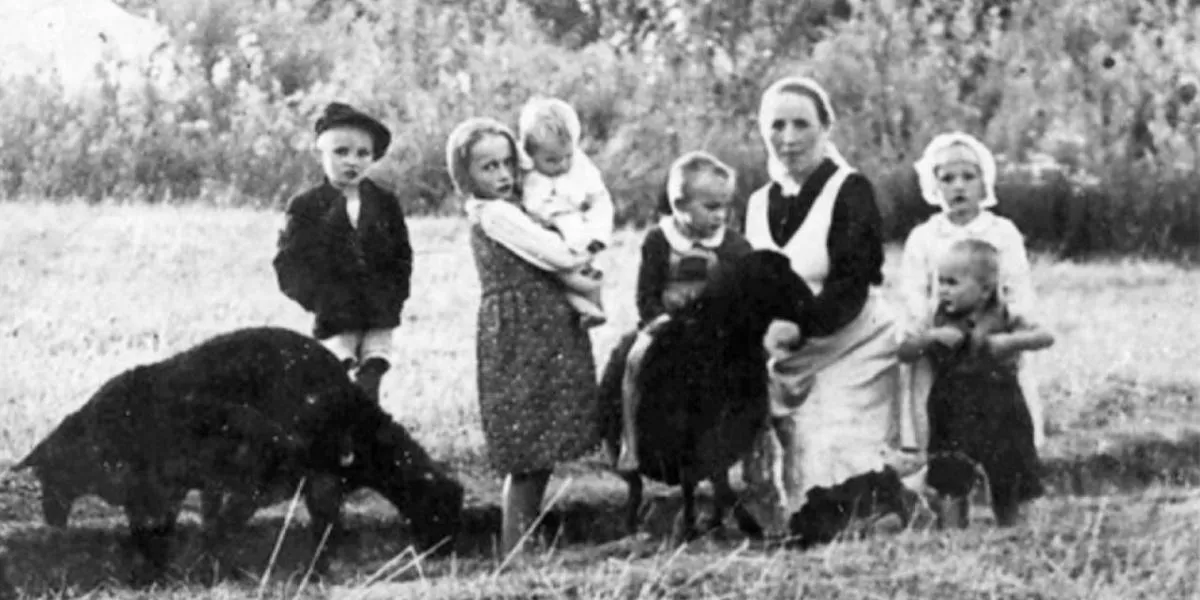 „Żyć Ewangelią na co dzień”. Przewodniczący KEP: Ulmowie są przykładem ...