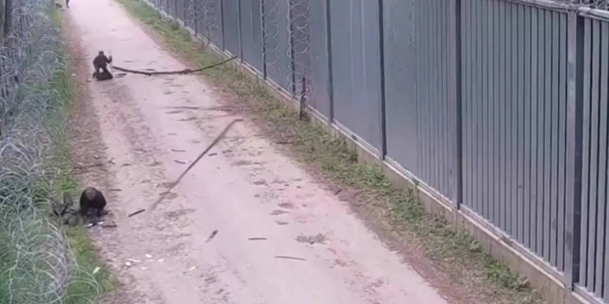 Bronią Polski i swojego zdrowia, kończą skuwani i z prokuraturą na ...