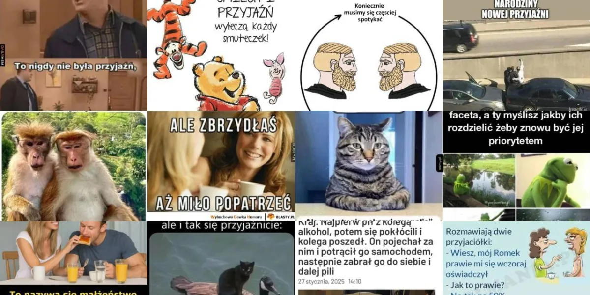 ZOBACZ najzabawniejsze MEMY o przyjaźni! Internauci śmieją się do łez ...
