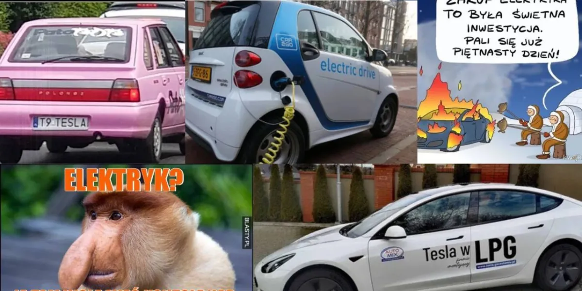 Elektryk czy poczciwy diesel? MEMY o samochodach elektrycznych dzielą ...